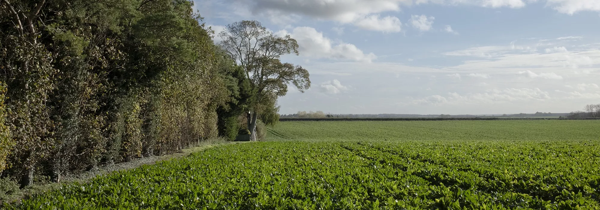 Farm Environments in Policy and Practice | School of Geography and the ...